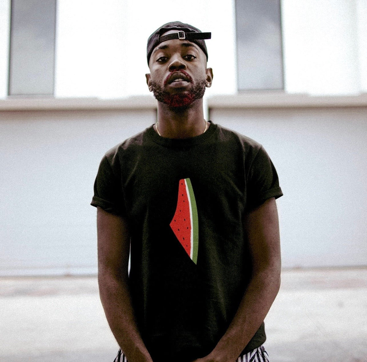 Palestine Freedom Melon Tee | Falastin Watermelon Shirt – Wear The Peace